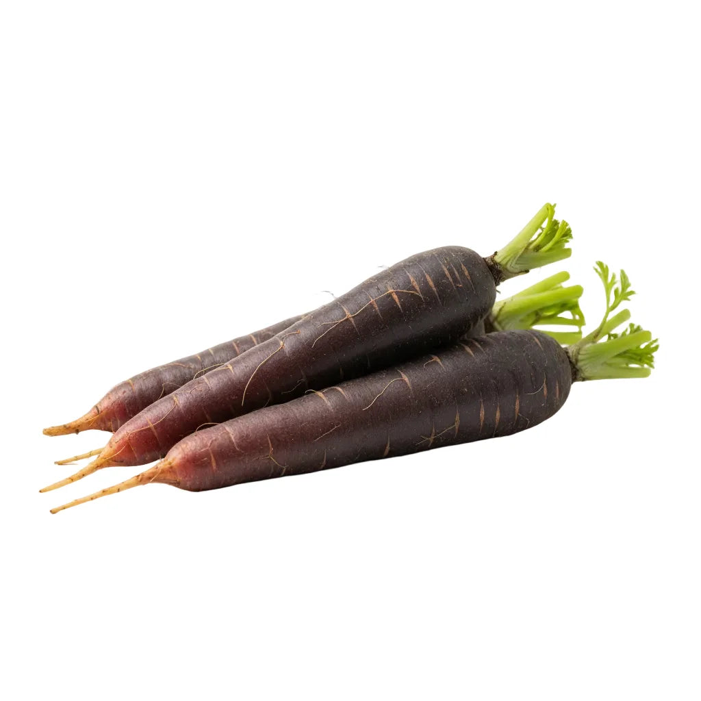 Buy Black Carrot Seeds online | Premium Carrot Black Purple seeds ...